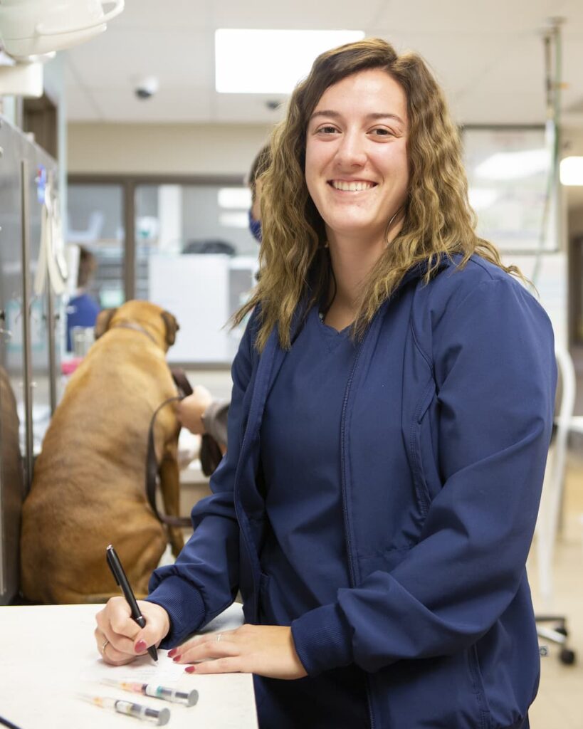 DVM Mentoring Program - Hawthorne Animal Hospital Ltd Careers